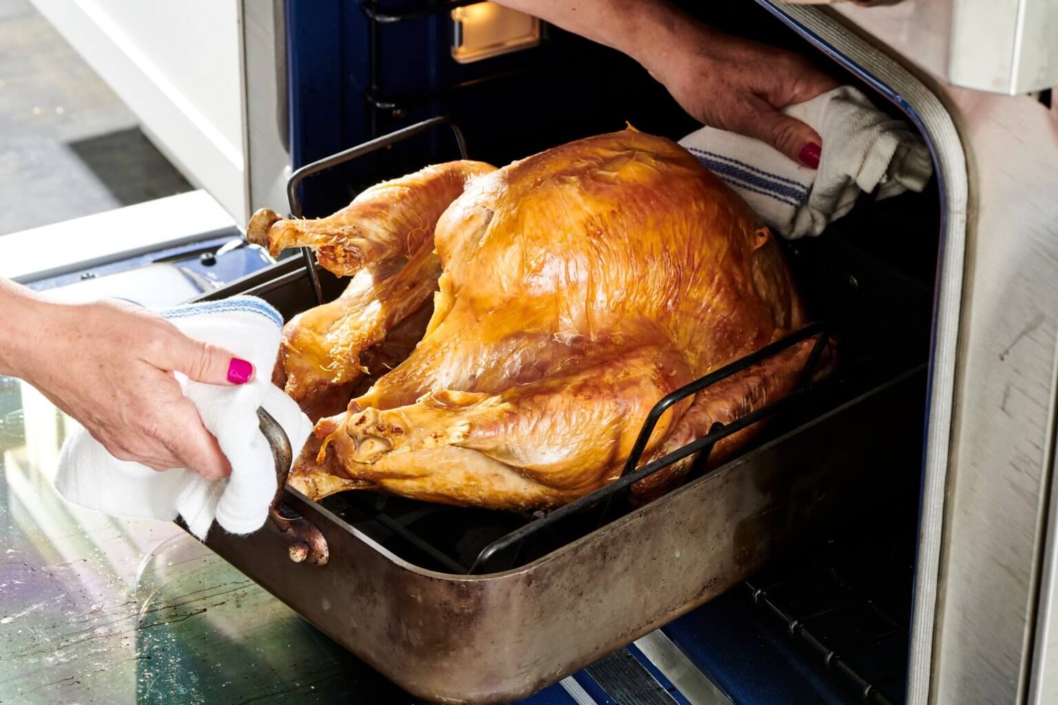Tips for Roasting a Turkey - National Turkey Federation