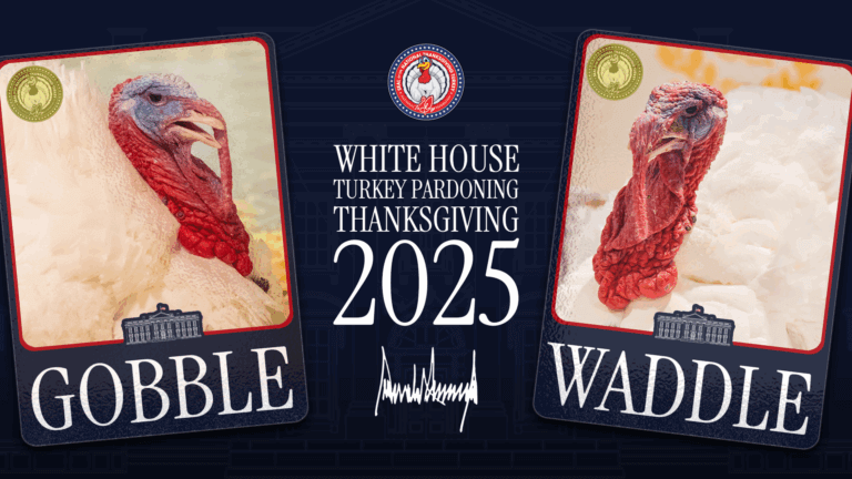 North Carolina Turkeys, Gobble and Waddle, Pardoned by President Trump