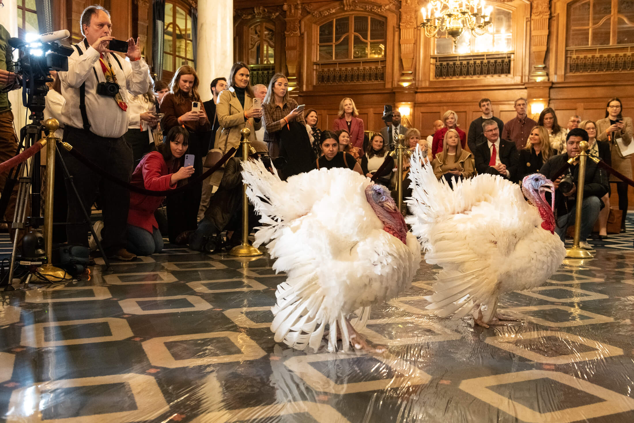 North Carolina Turkeys, Gobble and Waddle, Pardoned by President Trump